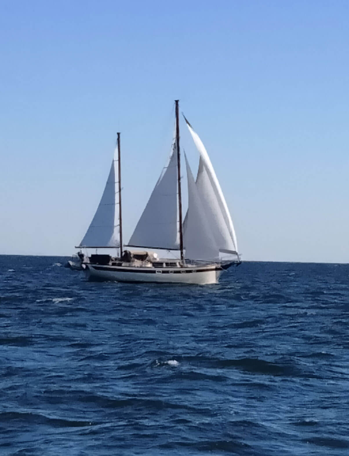 Learning to Sail | C-Tow Marine Assistance Ltd.