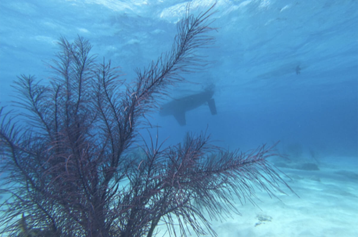 MUST SEE in the Southern Bahamas - C-Tow Marine Assistance Ltd.